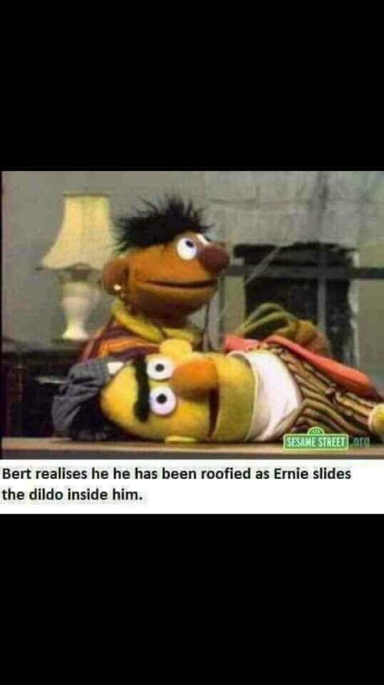 On today's show Bert and Ernie go on an anal adventurer - 9GAG