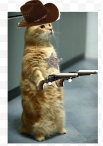 Another one of the animal things I made and posted in the comments. YEE HAW PARTNER - 9GAG