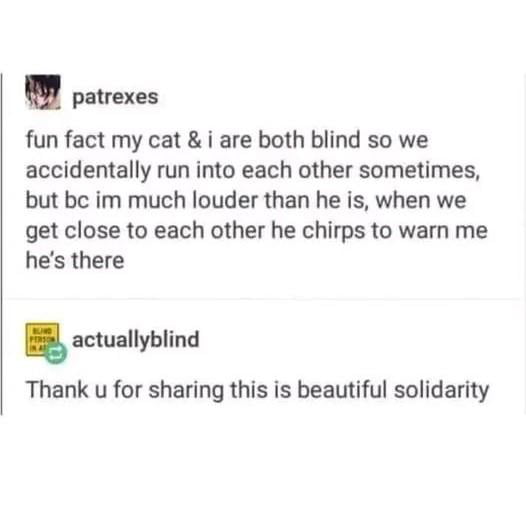 2 blind creatures - 9GAG