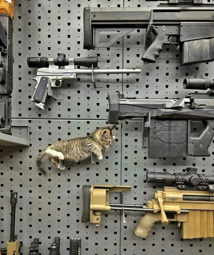 Welcome, welcome to my gunshop. A very special smol arms for u - 9GAG