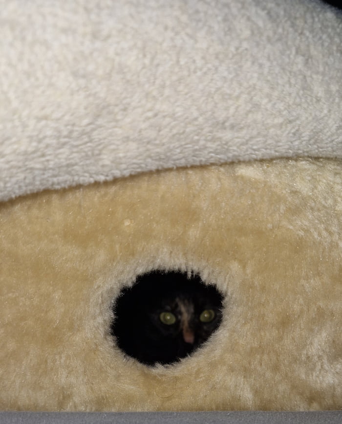 The void is calling - 9GAG