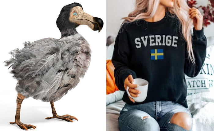 Many decades ago the dodo went extinct because a dangerous predator ...