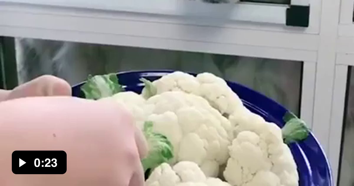 Doggos enjoying their vegetables - 9GAG