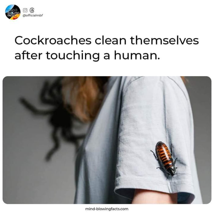 Understandable - 9GAG