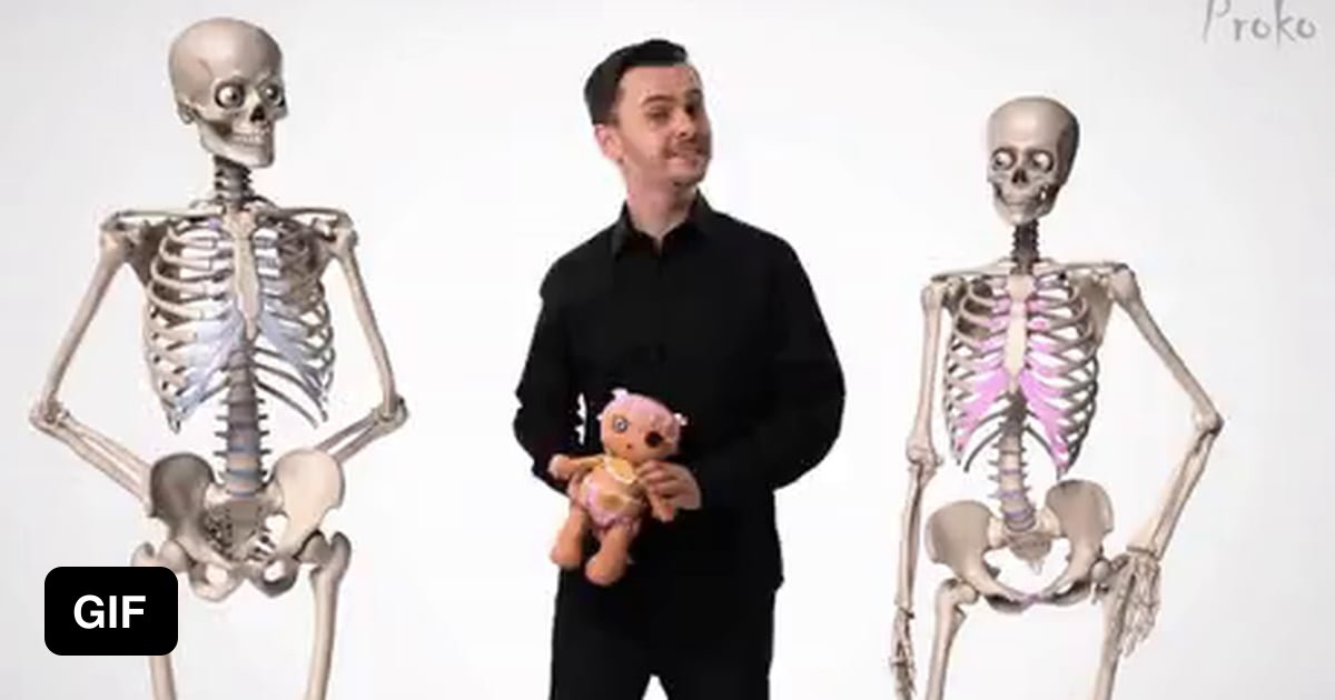 How to identity male and female skeleton - 9GAG