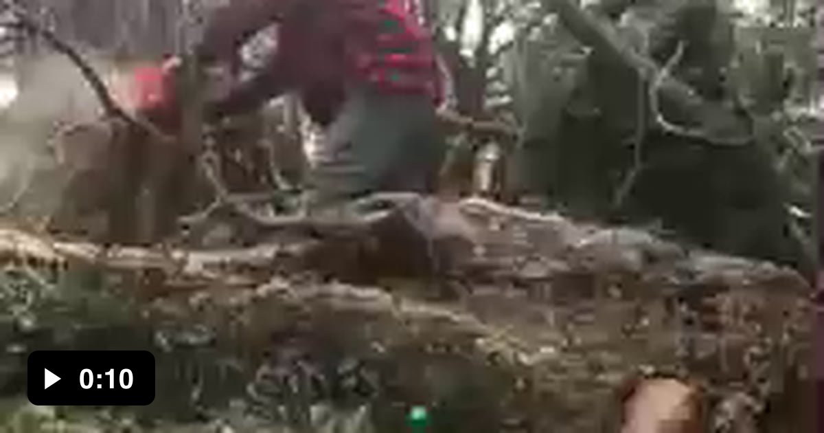 The nutcracker - 9GAG