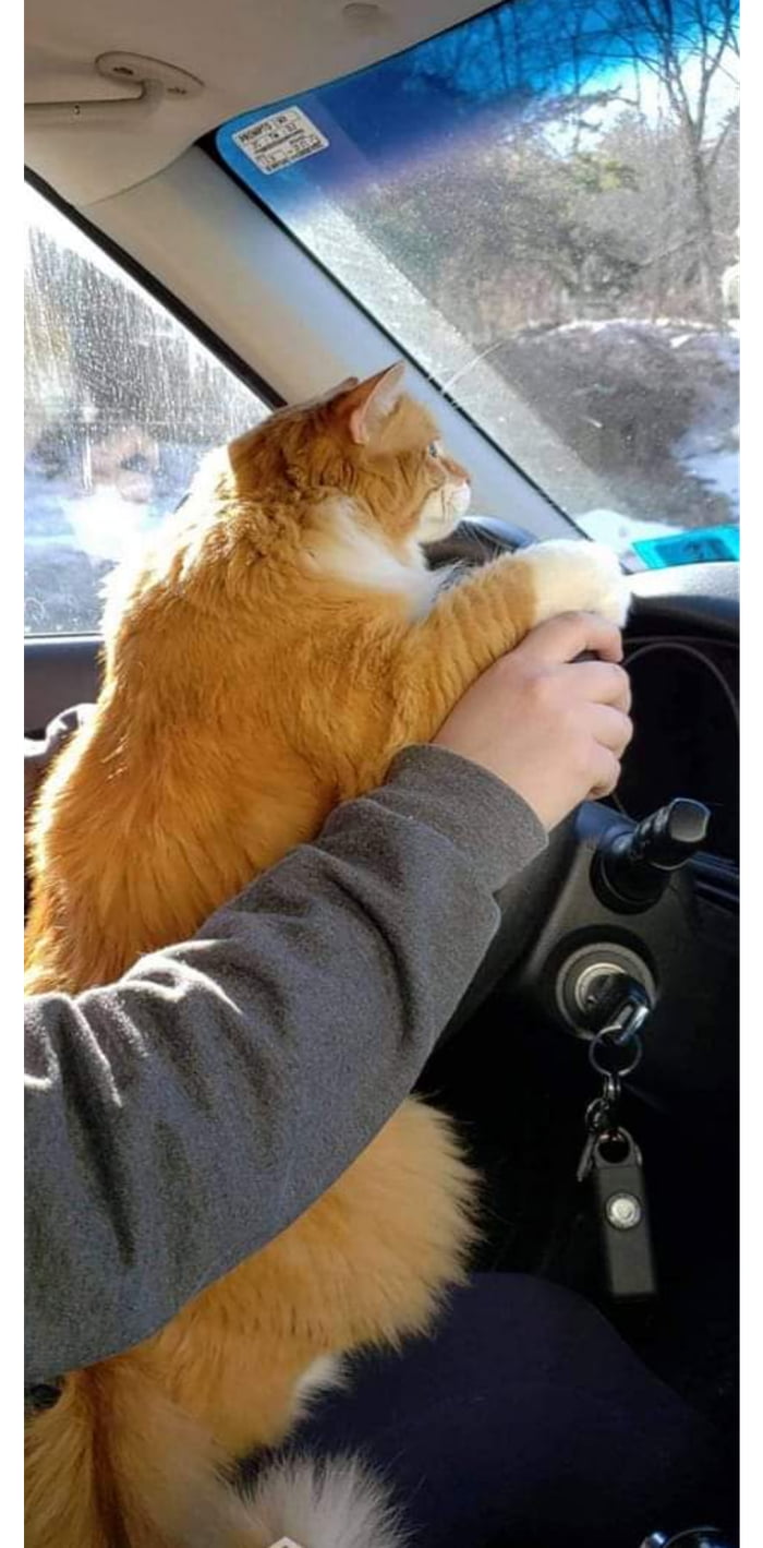 He's a very good driver. - 9GAG
