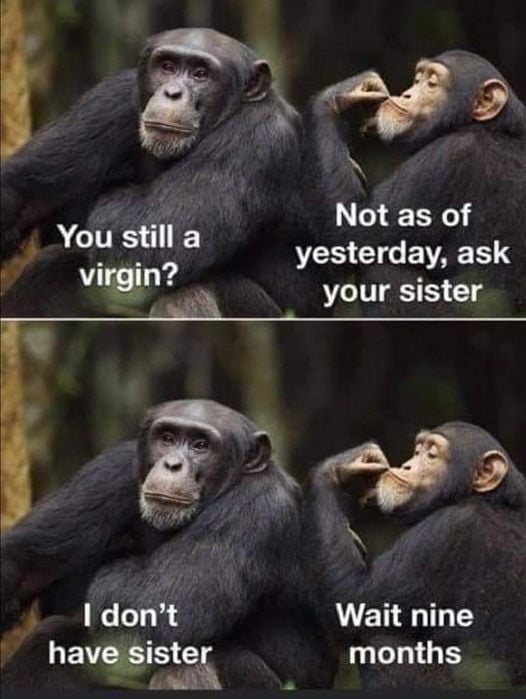 Chimp funny. - 9GAG