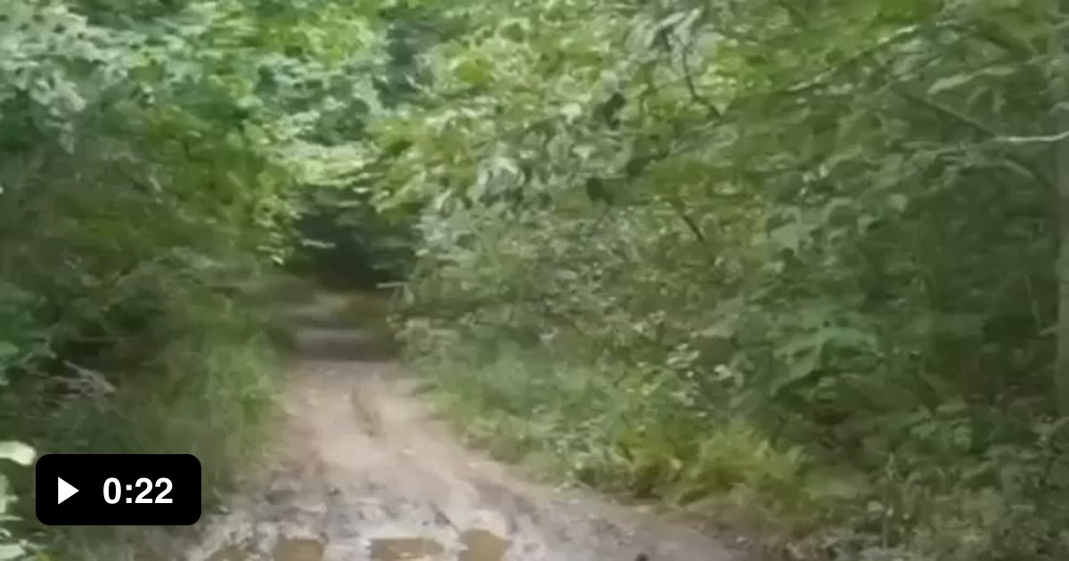 Cooling down in the Mud. - 9GAG