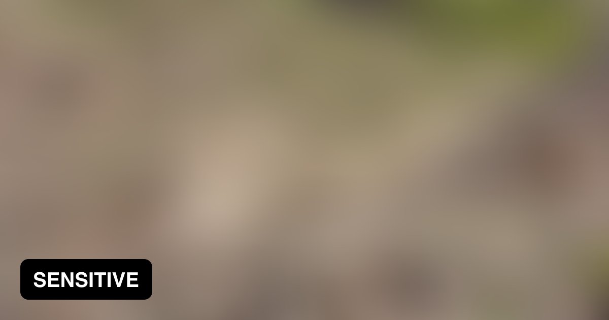 Crazy video.. massive avalanche.. - 9GAG