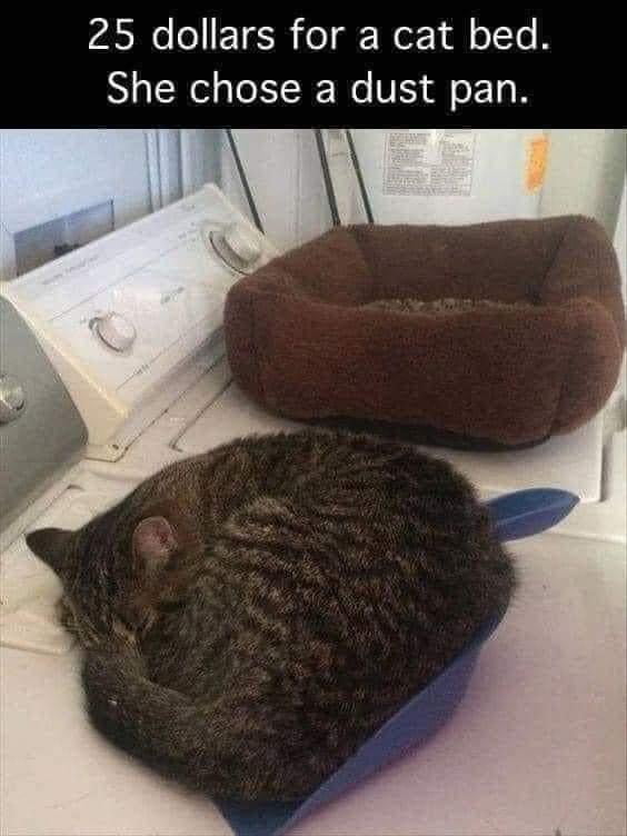 Eh, close enough. - 9GAG