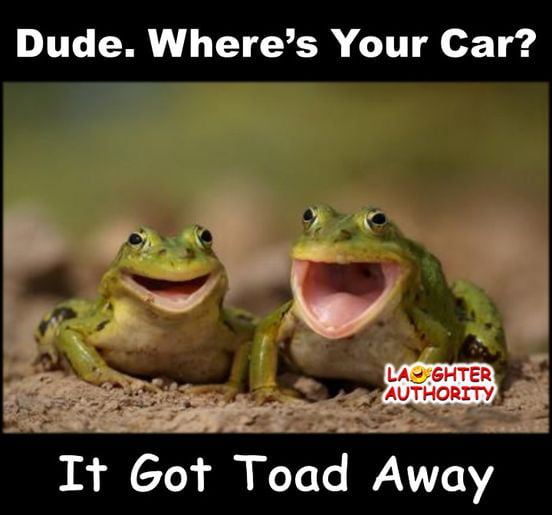 Dad toad ma dude - 9GAG