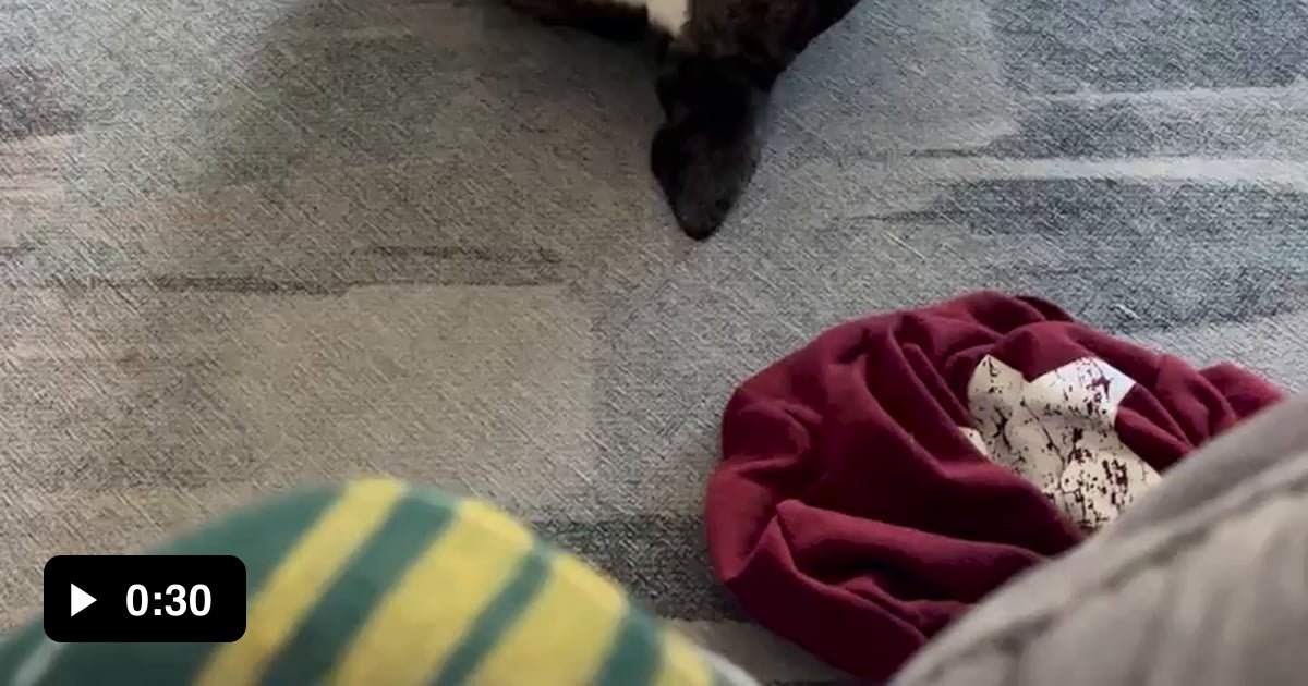 It’s this Itchy back doofus’ birthday. - 9GAG