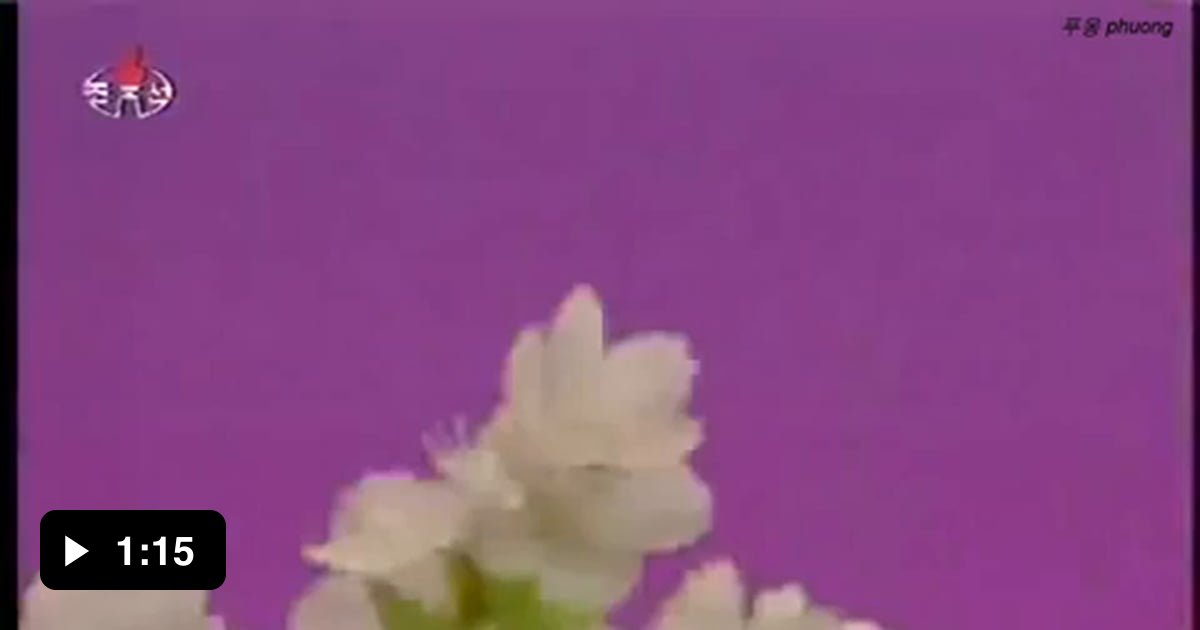 Today I somehow found the original video of the North Korean girl ...