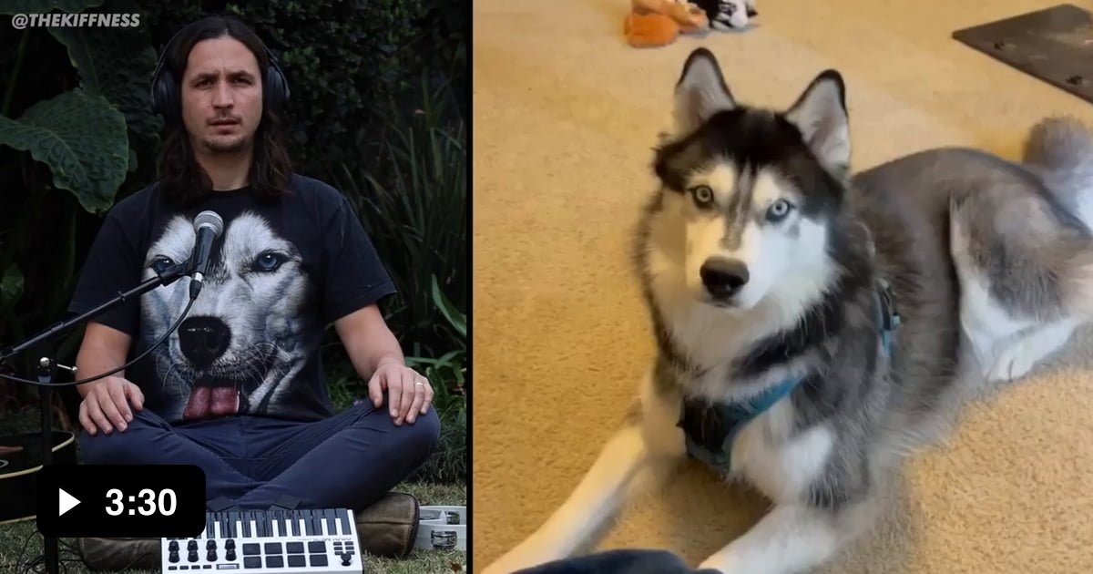 The Kiffness x Haiku the Husky - Ancient Husky Melody - 9GAG