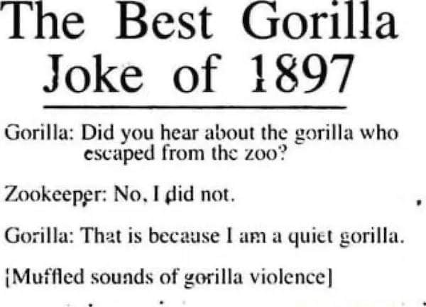 I dunno any gorilla jokes - 9GAG