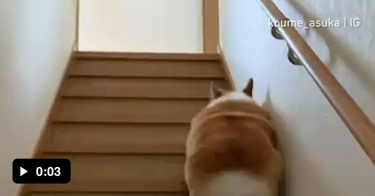 Bounce, bonce, bounce… - 9GAG