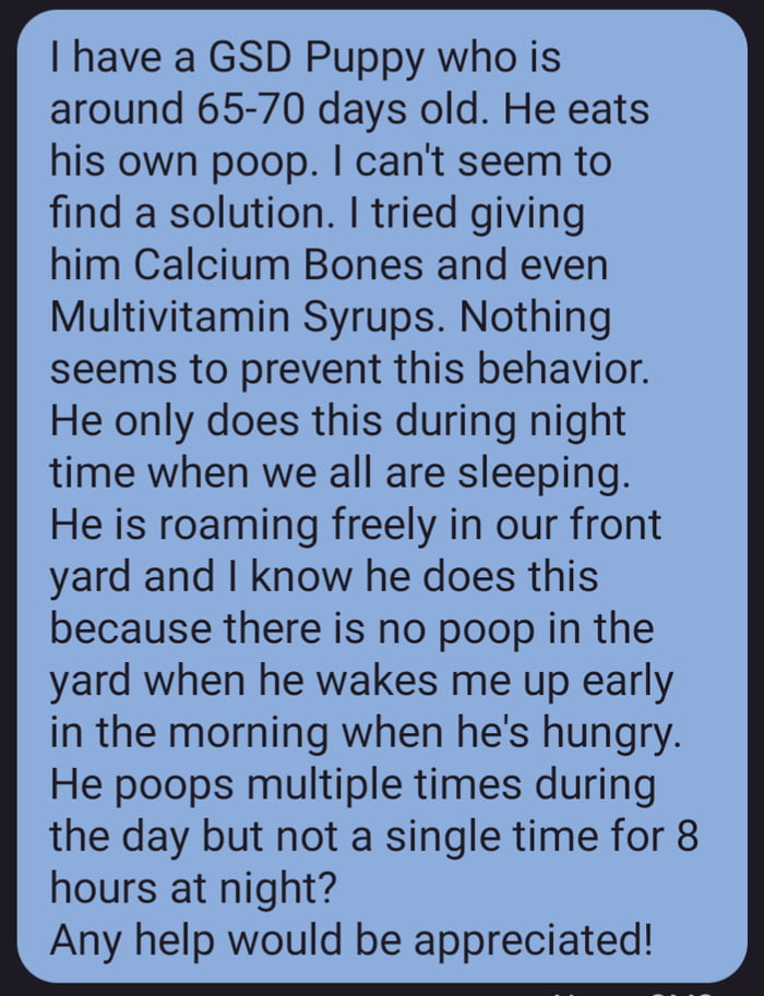 Any help would be highly appreciated. I have never punished him for this behavior! - 9GAG