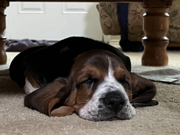 She’s just so sleepy - 9GAG