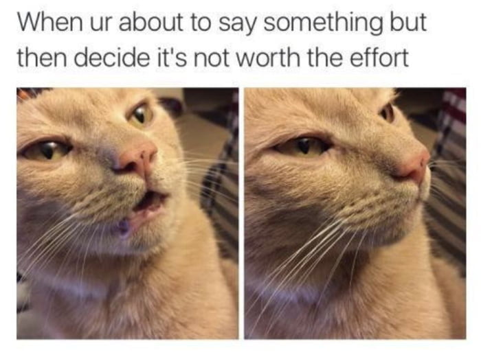 Save it and get burried in your pile of memes collection. - 9GAG
