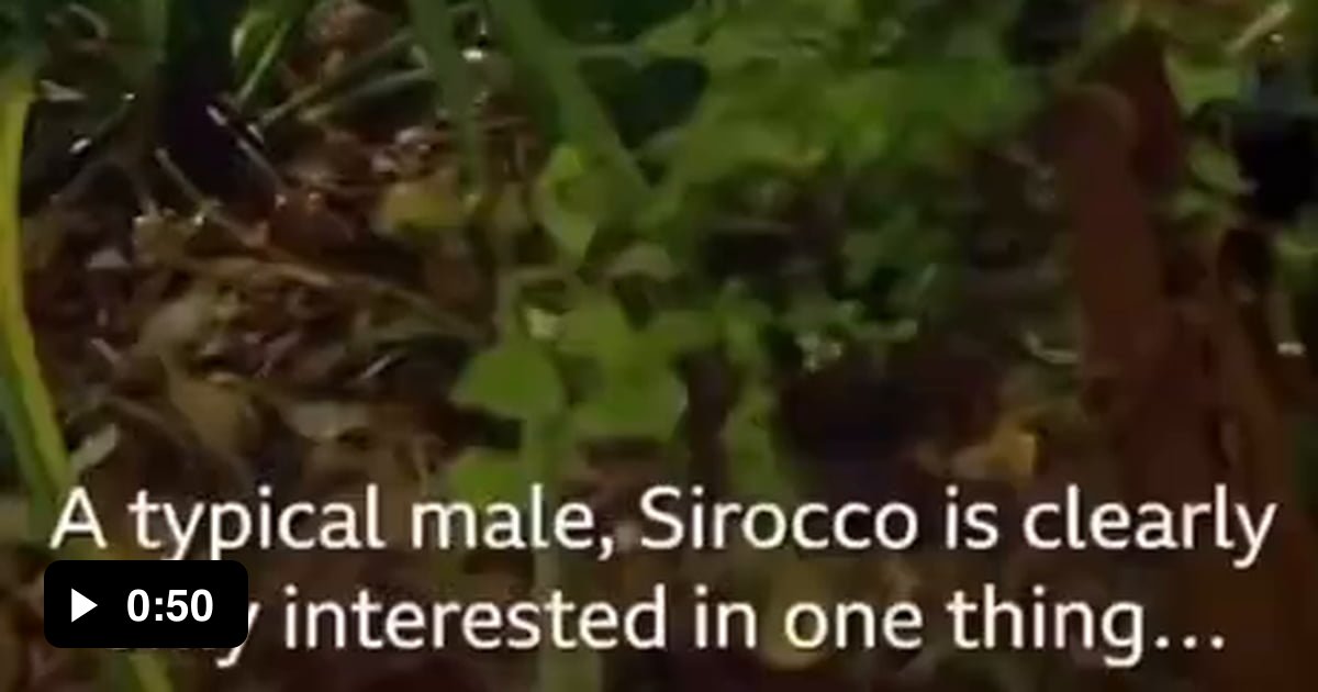 You want sum f**k - 9GAG