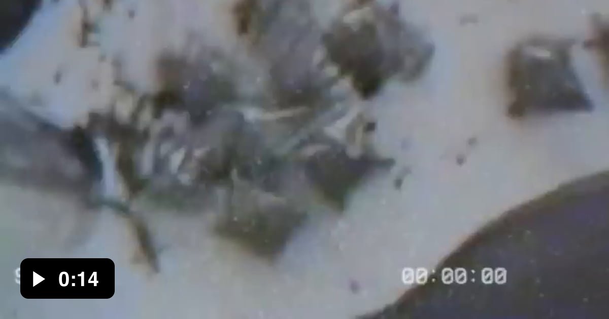 Any fans of REAL Rap music? - 9GAG