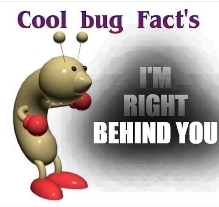 Wtf is oatmeal? - 9GAG