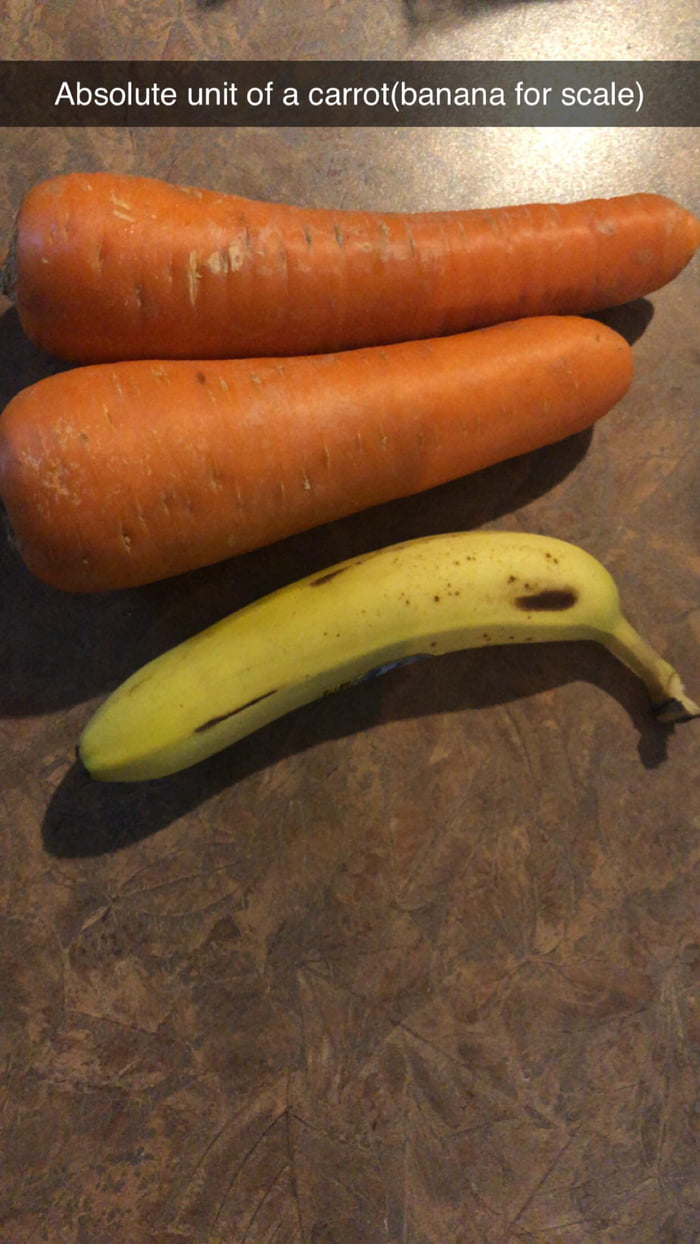 Absolute unit of a carrot - 9GAG