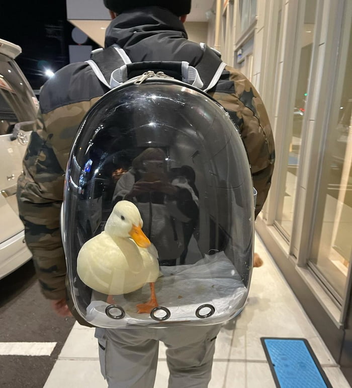 You Have A Yee Yee Ass Backpack I Have A Duck Backpack We Are Not The Same 9gag