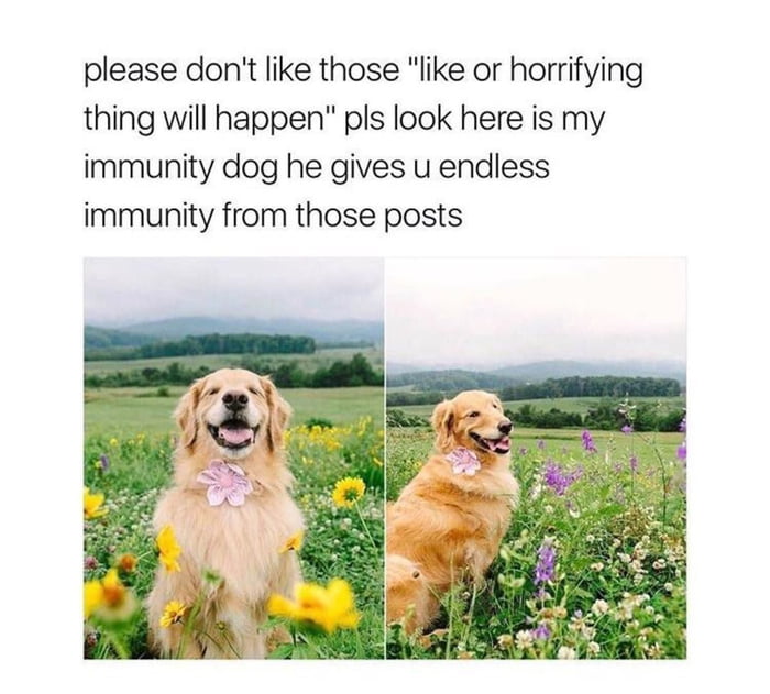 Free immunity from all those negative posts! - 9GAG