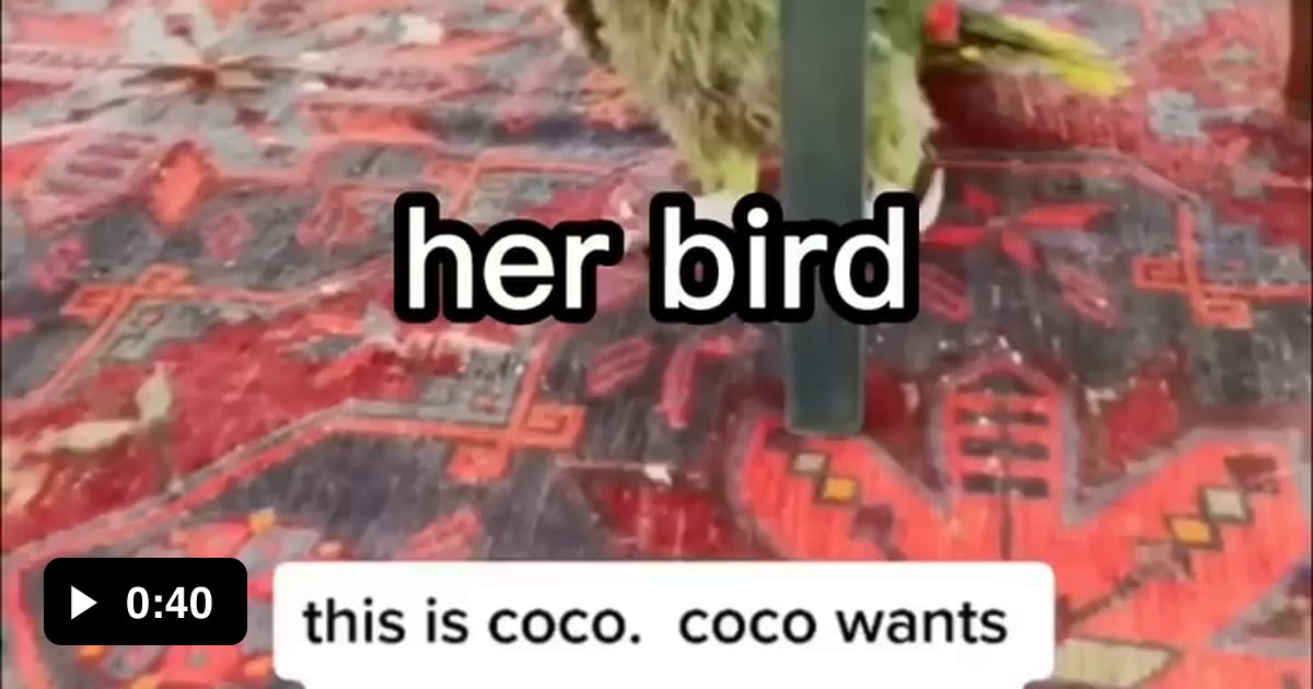 Possessed bird - 9GAG