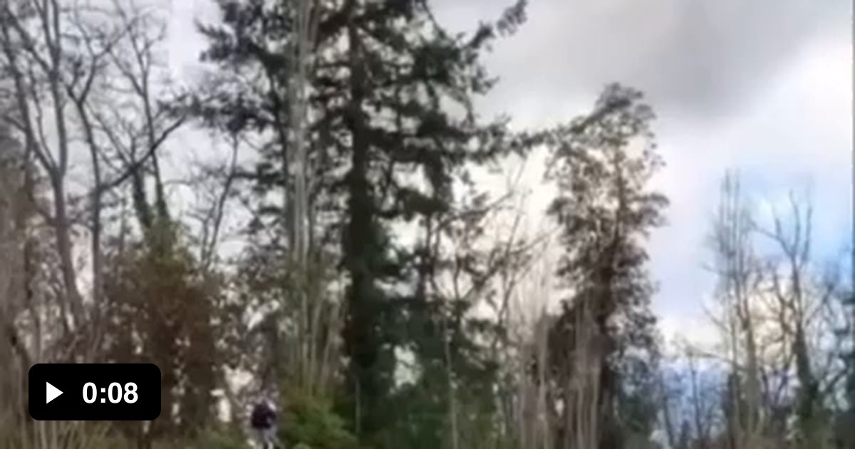 Activated cheat codes - 9GAG