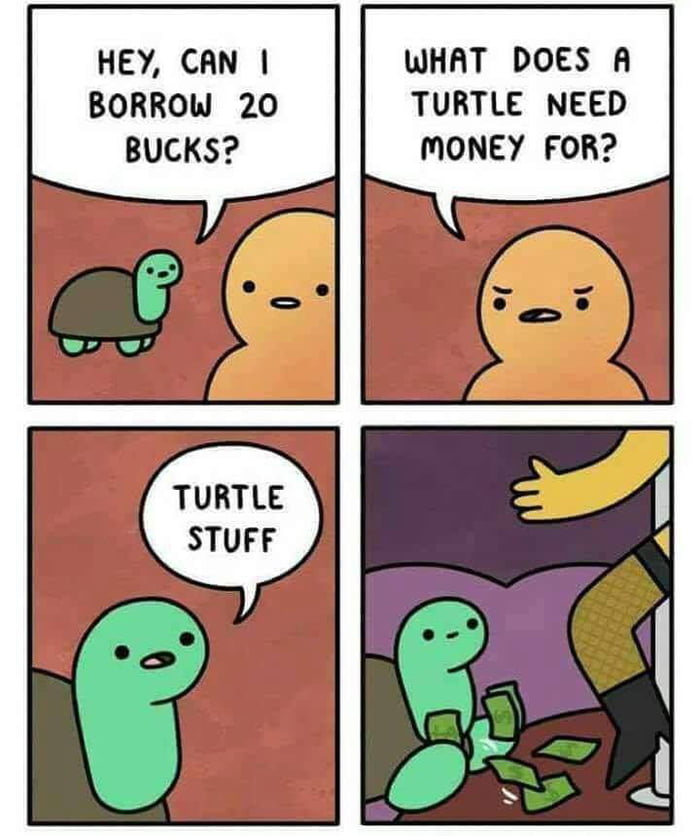 Turtle stuff - 9GAG