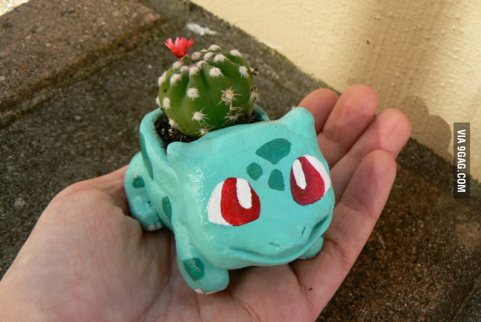 I recently made a small Bulbasaur pot from clay to hold a tiny plant - 9GAG