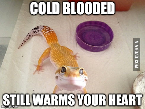 Cold blooded. - 9GAG