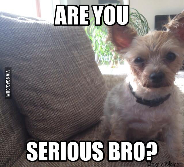 Are you serious bro? - 9GAG