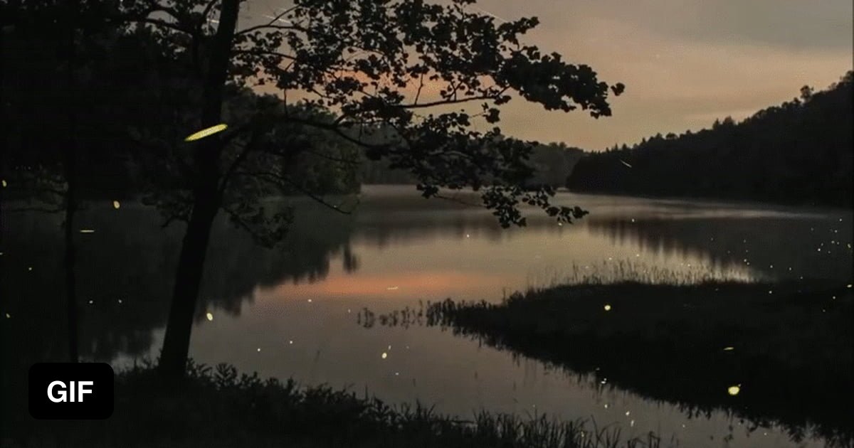 A summer sunset with fireflies - 9GAG