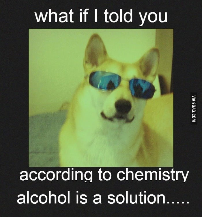 Matrix Dog - 9GAG