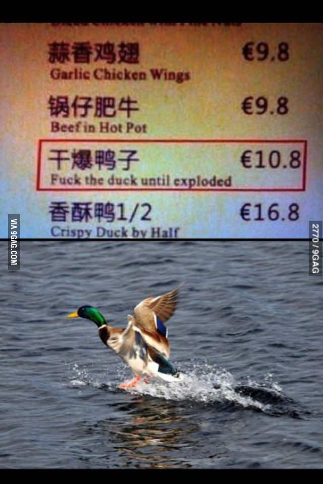 F**k the duck until exploded - 9GAG