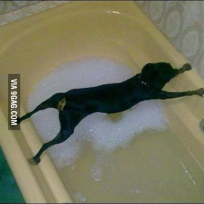 He really loves bath time - 9GAG