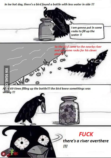 The story of the clever bird - 9GAG
