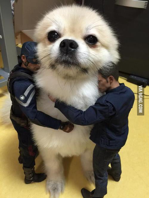 Things got weird - 9GAG