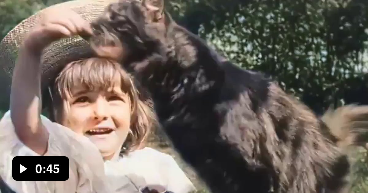 The world's first cat clip ever from 1899. "Little girl and cat ...