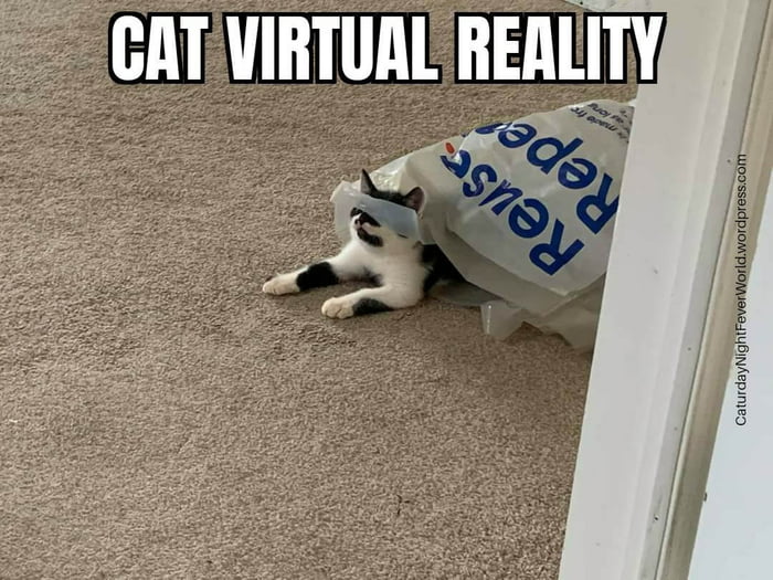 Vr cat - 9GAG