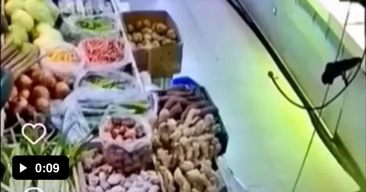 Strange behavior...!! - 9GAG