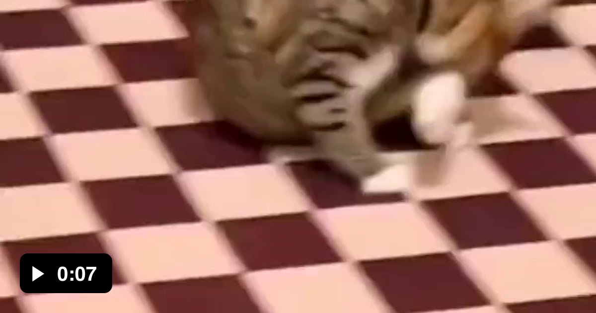 They see me rollin' - 9GAG