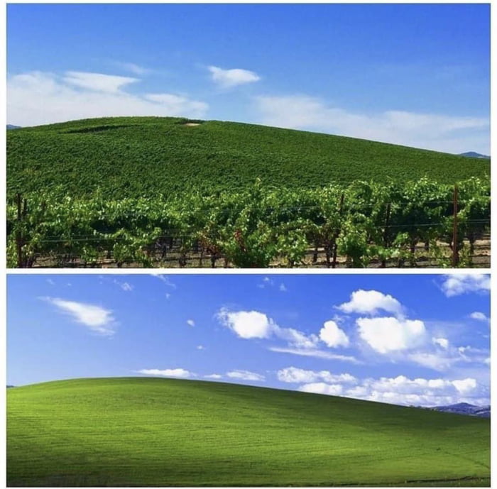 The famous Windows XP picture today - 9GAG