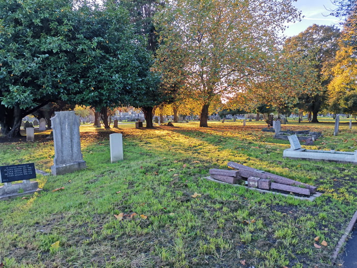 Cemeteries at sunset during autumn are the coziest of places - 9GAG