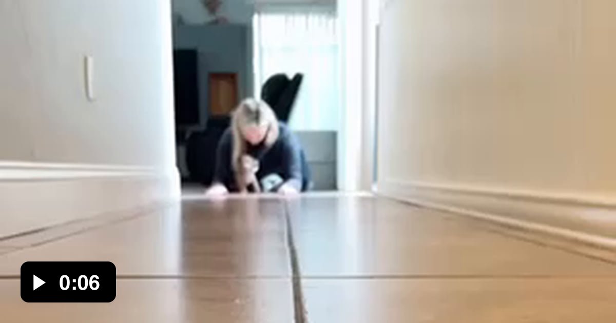 Furry four-legged sausage - 9GAG