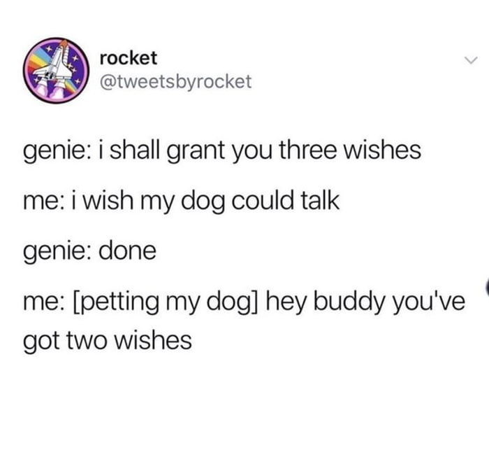 It would be such fun - 9GAG